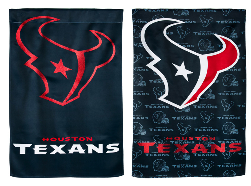 NFL Flags- Money Makers Distributing